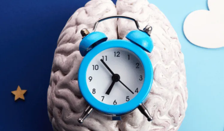 Ritmos circadianos: cómo funcionan y por qué importan